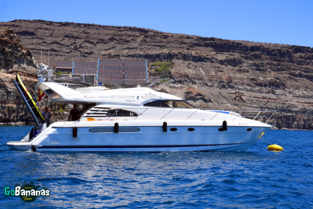 EXCURSIÓN VIP YATE – Puerto rico – Magic island – 5 horas ⏳ – GO ...